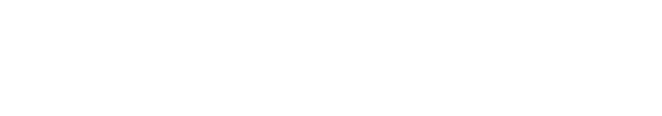 Leadership Team and Directors | IBS Inc.